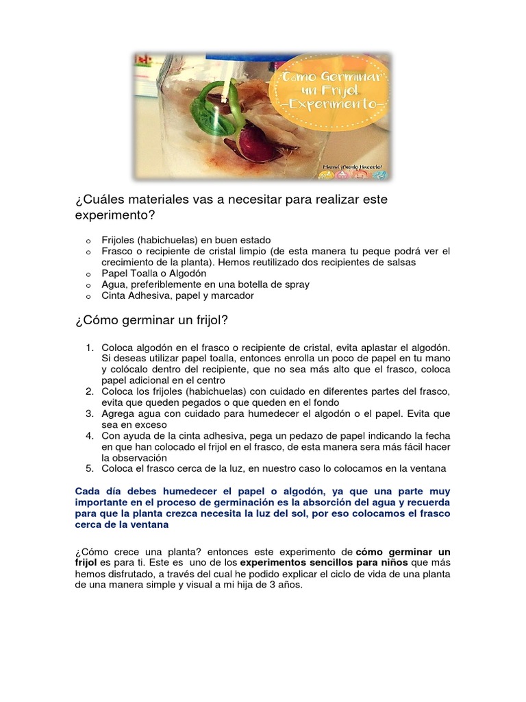 Experimentos Germinacion y Luz Solar | PDF | Plantas | Papel