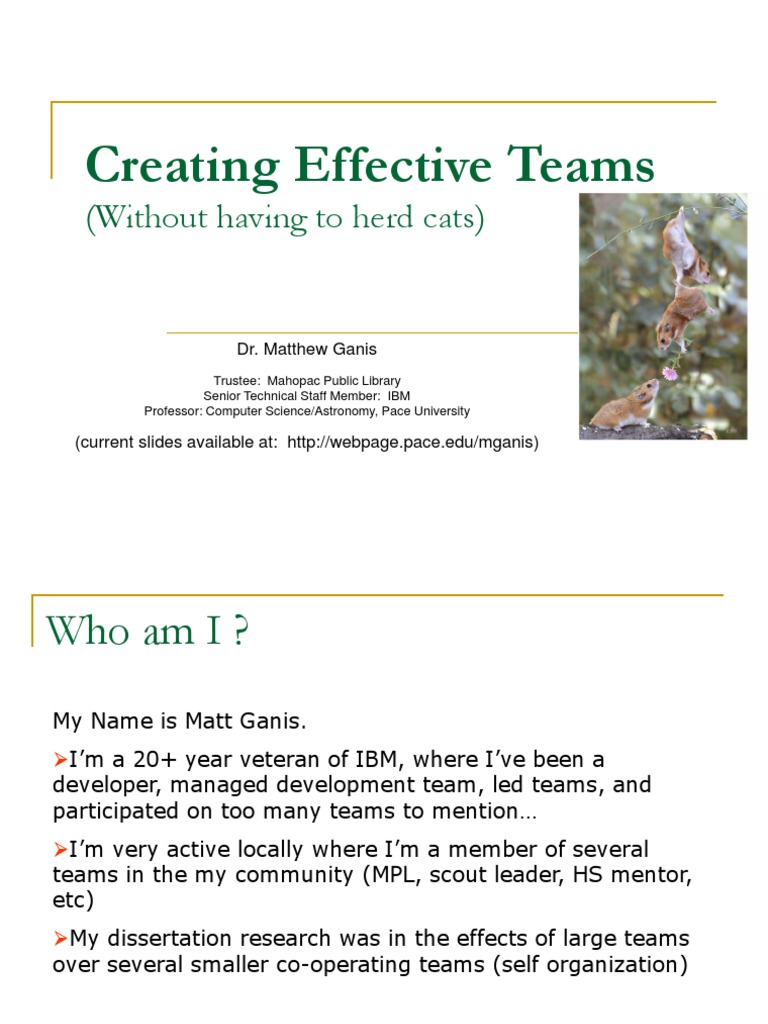 Creating Effective Teams Final v2l | PDF | Leadership | Expert