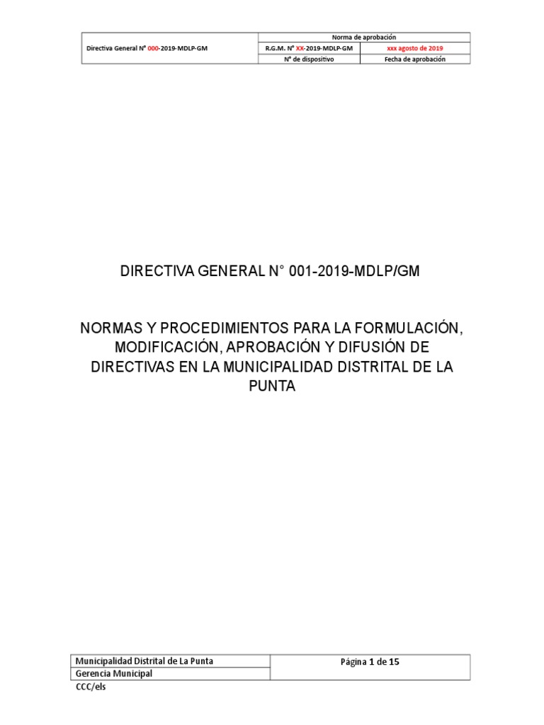Directiva Modelo - para Directivas | PDF | Regulación | Presupuesto