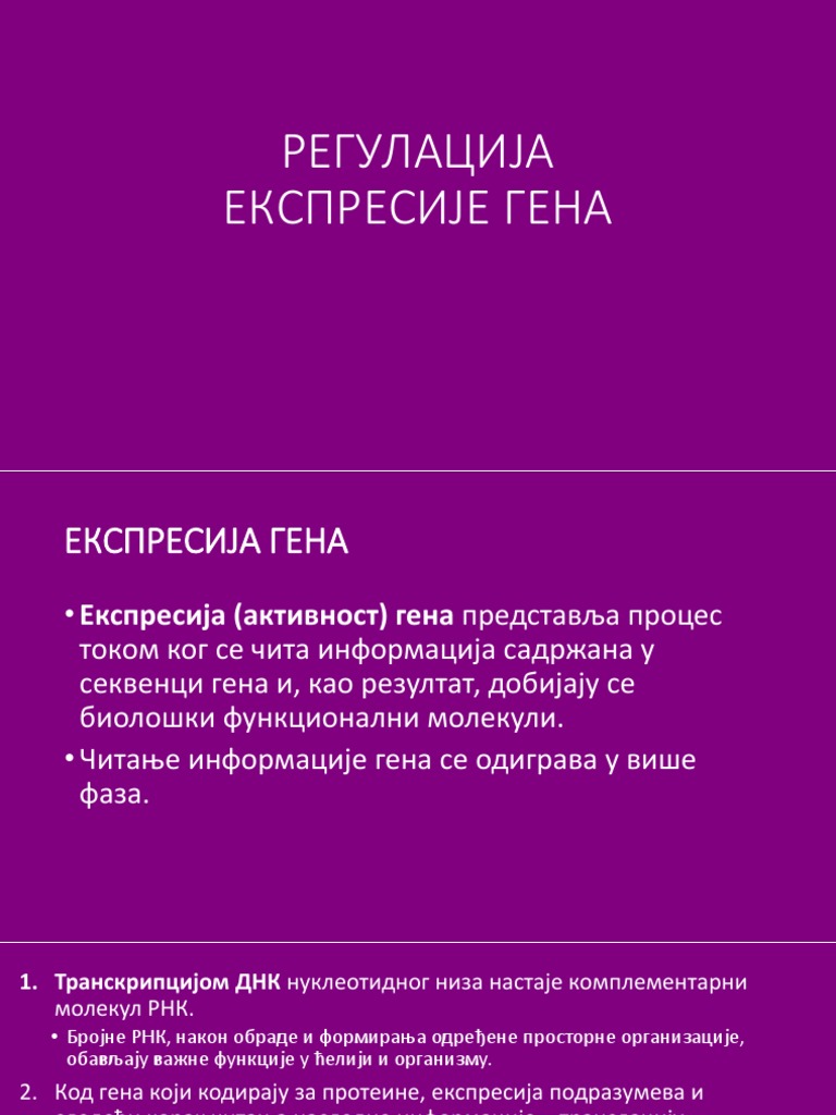 Regulacija Ekspresije Gena | PDF