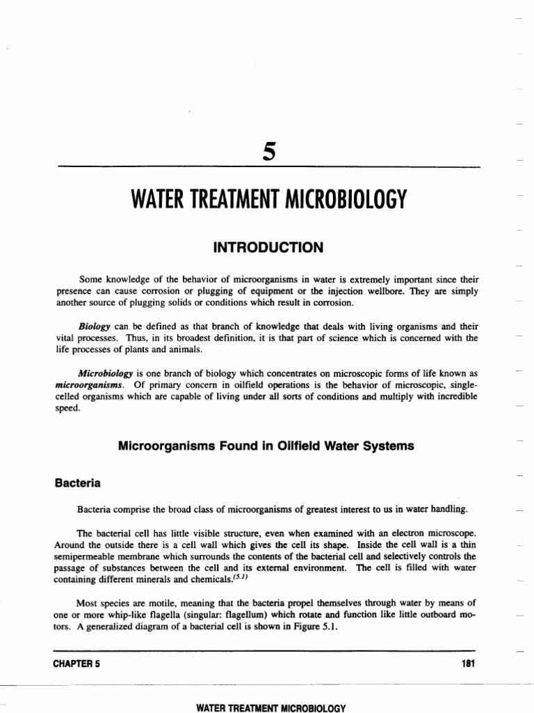 05 AWT Water Treatment Microbiology | PDF
