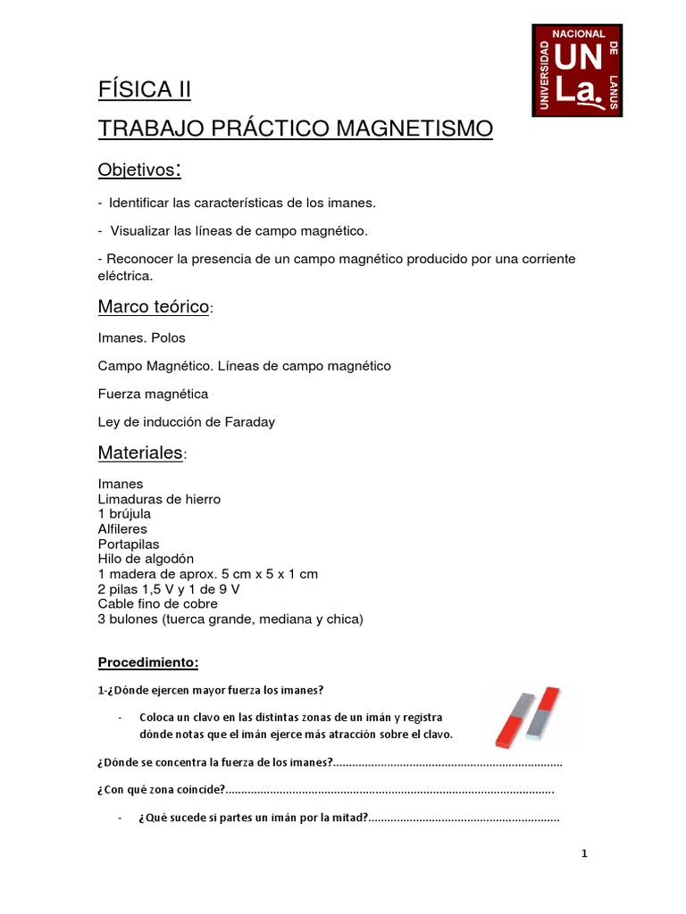 Trabajo Práctico Magnetismo | PDF | Imán | Magnetismo