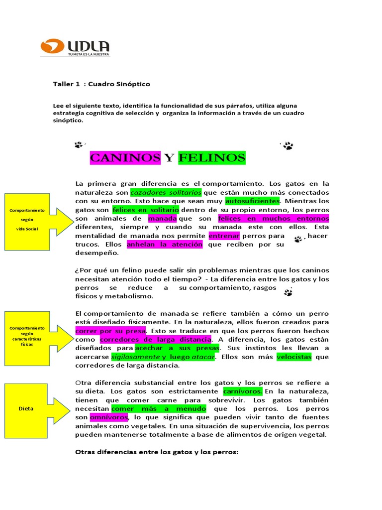 Taller Cuadro Sin Ptico | PDF | Gatos | Perros