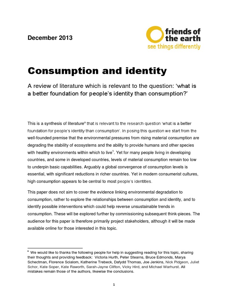 Consumption Identity 18135 | PDF | Consumerism | Identity (Social Science)
