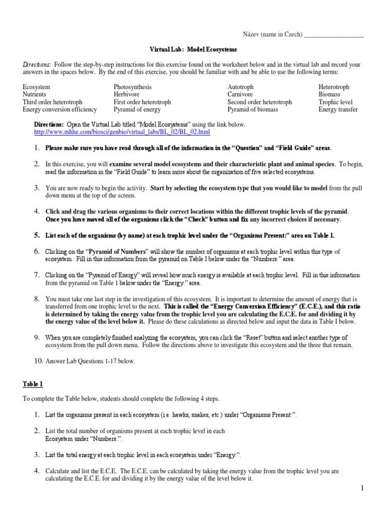 Directions: Follow The Step-By-Step Instructions For This Exercise ...