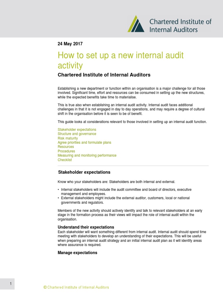 How To Set Up A New Internal Audit Activity: Chartered Institute of ...