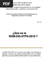 Informe de Resultados NOM-035 STPS 2018 | PDF | Riesgo | Violencia
