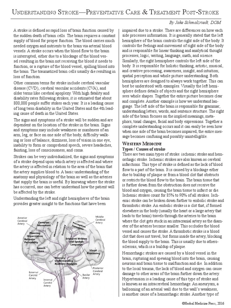 Understanding Stroke Preventative Care & Treatment Post-Stroke | PDF ...