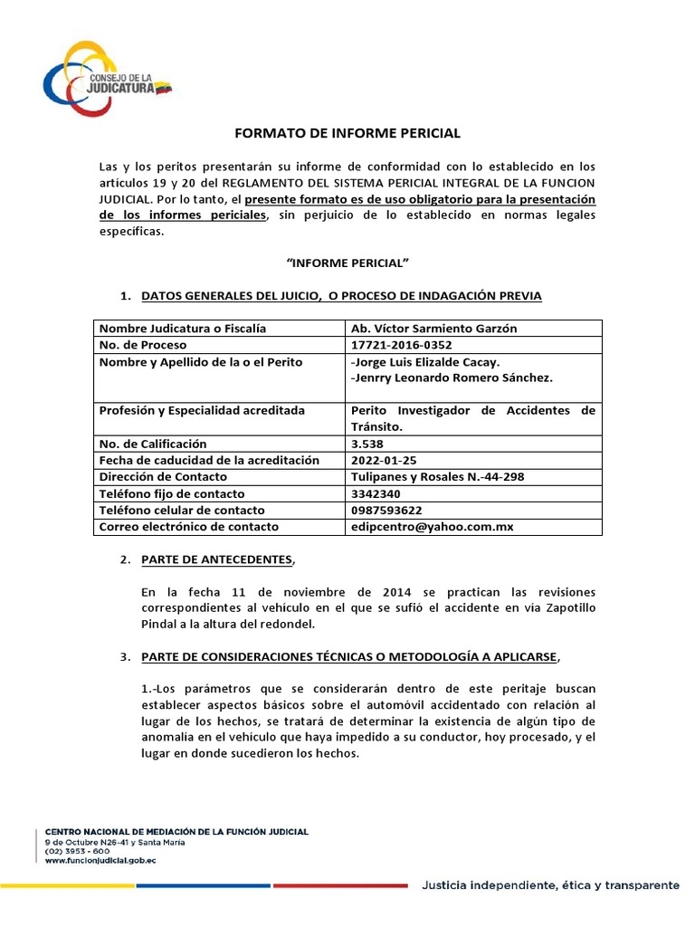 Ejemplo de Informe Pericial | PDF