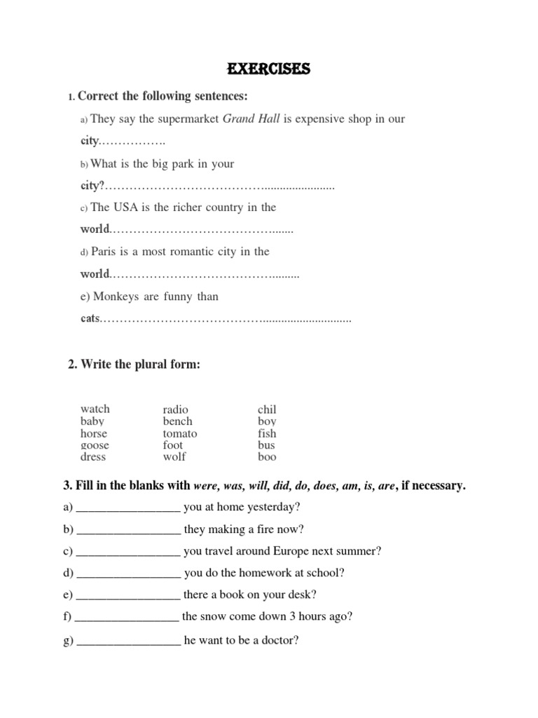 Exercises: Correct The Following Sentences | PDF