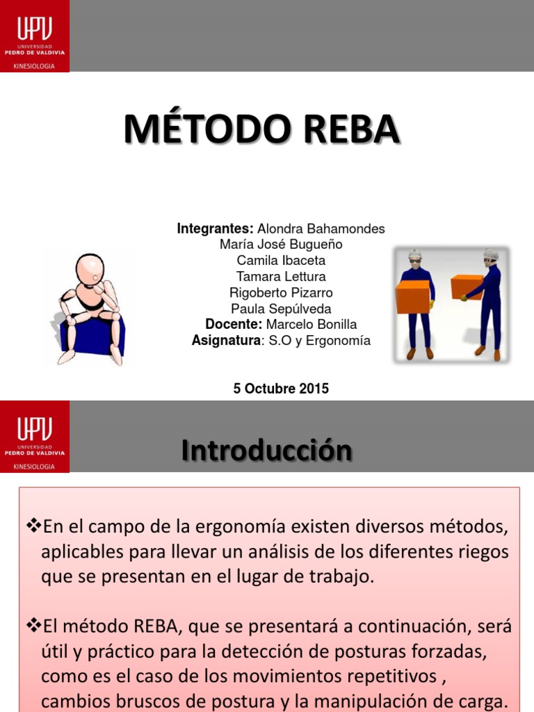 Reba | PDF | Factores humanos y ergonomía