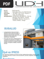 Organización y Funciones de IPRESS | PDF | Hospital | Sistema de salud