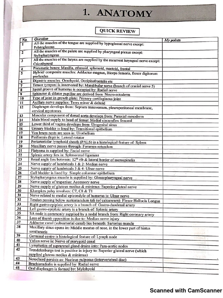Anatomy One Liner | PDF