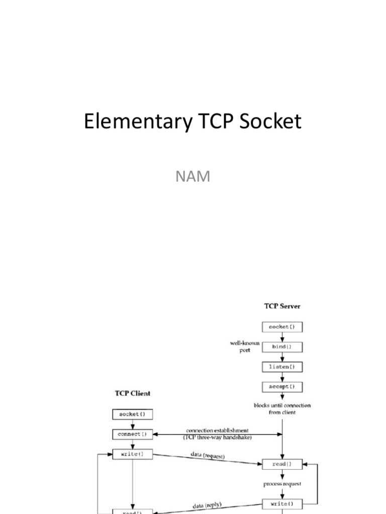 Elementary TCP Socket | PDF | Port (Computer Networking) | Network Socket