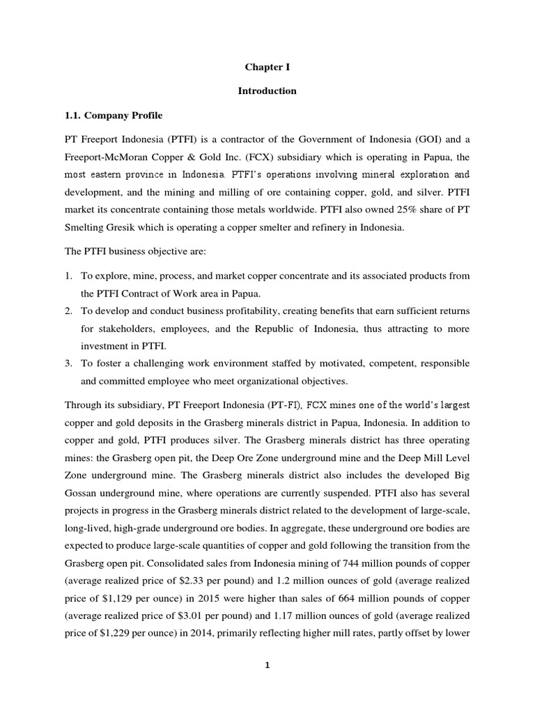 1.1. Company Profile | PDF | Mill (Grinding) | Mining