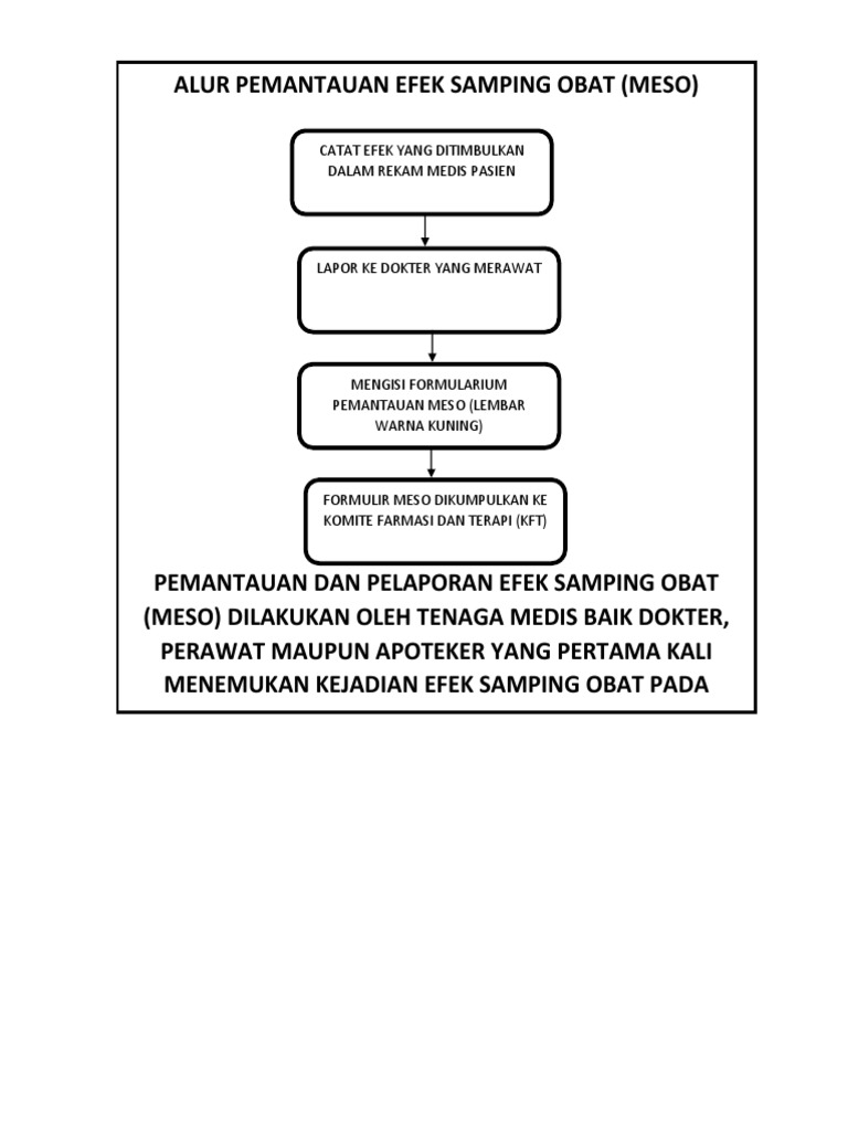 Alur Pelaporan Efek Samping Obat | PDF