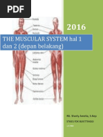 Muscular System | PDF