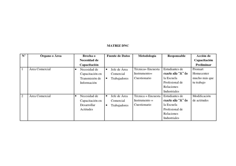 Matriz DNC | PDF
