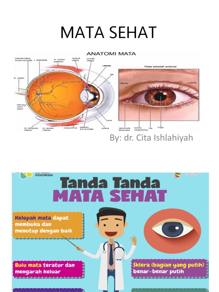 Mata Sehat | PDF