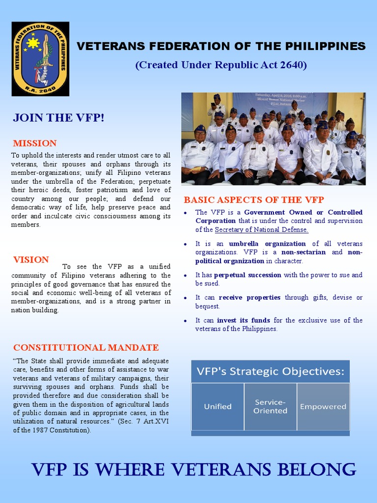 VFP Flyer | PDF | Government Information | Government