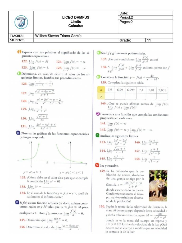 Calculus Limits - Grade 11 Overview | PDF