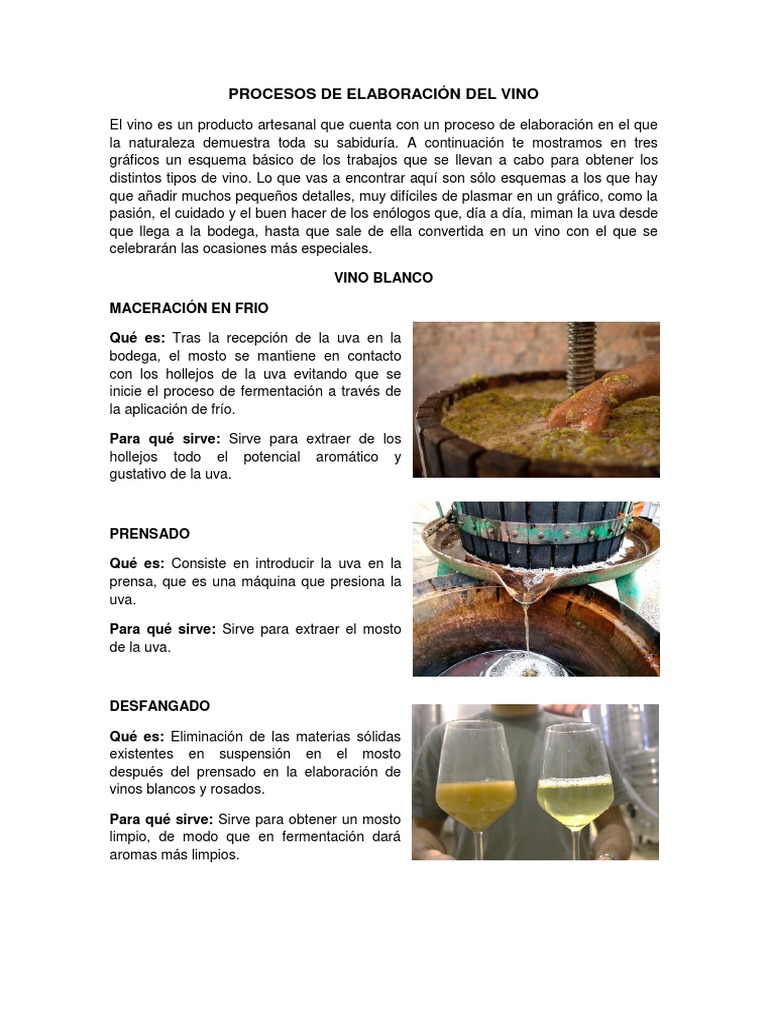 Elaboración de Vino | PDF | Vinificación | Vino