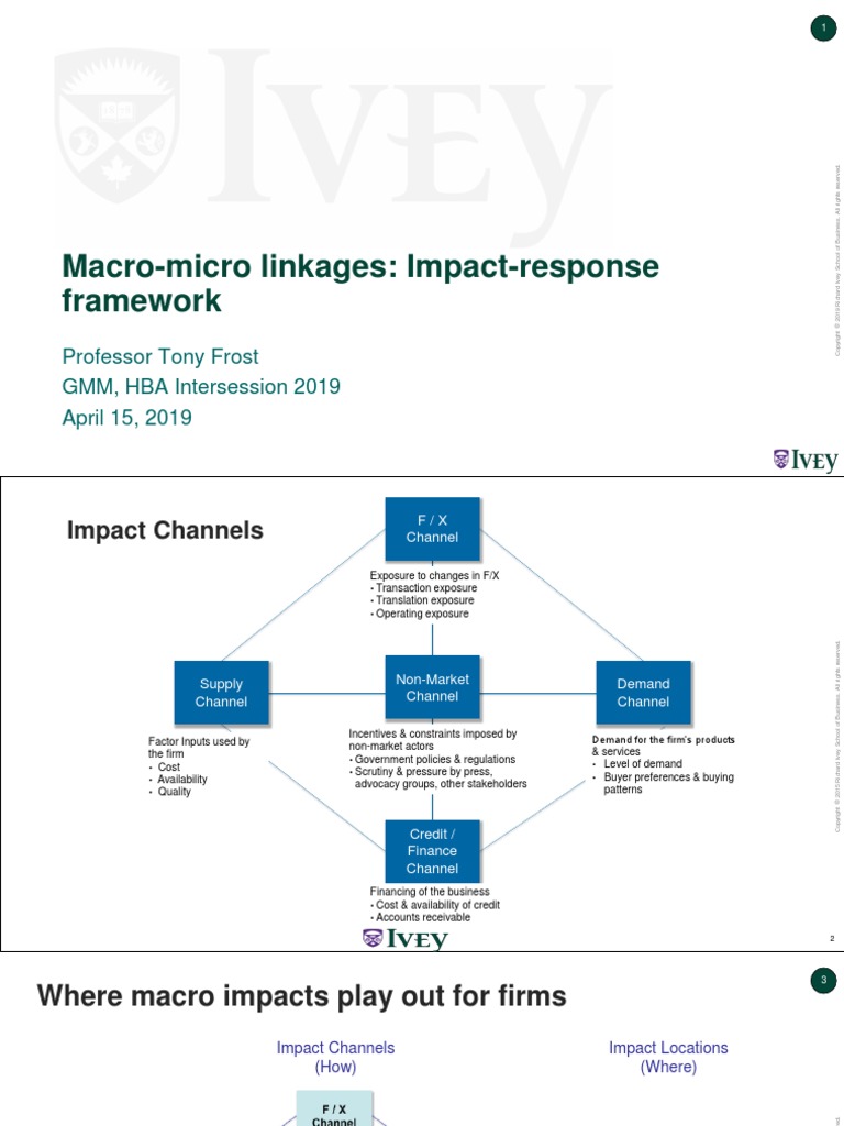 Macro-Micro Linkages: Impact-Response Framework: Professor Tony Frost ...