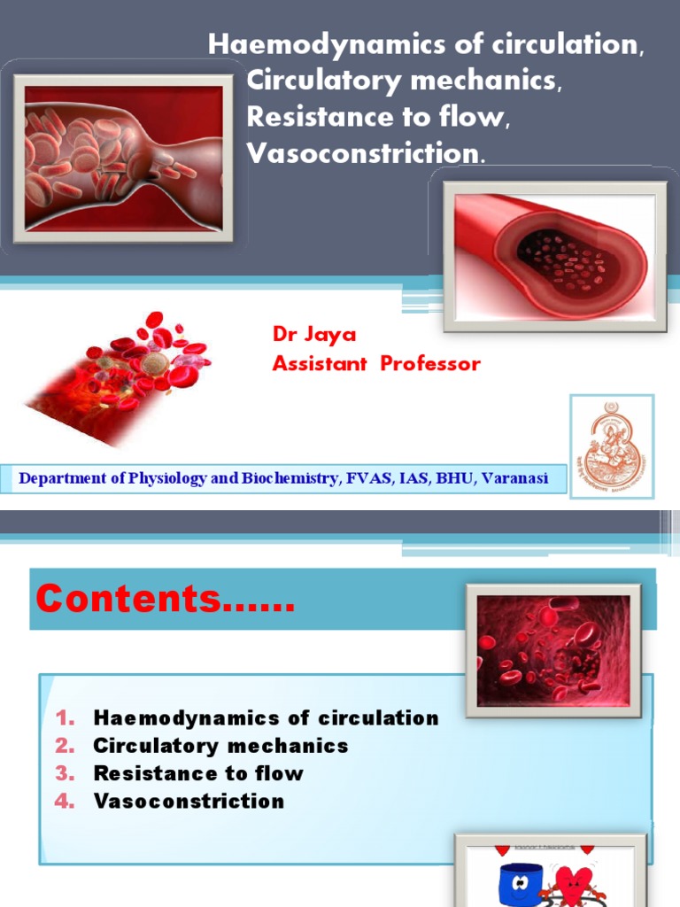 Haemodynamics and Blood Flow Mechanics | PDF | Blood Vessel | Hemodynamics