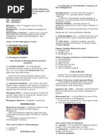 Arts and Crafts of MIMAROPA | PDF | Social Science | Science & Mathematics