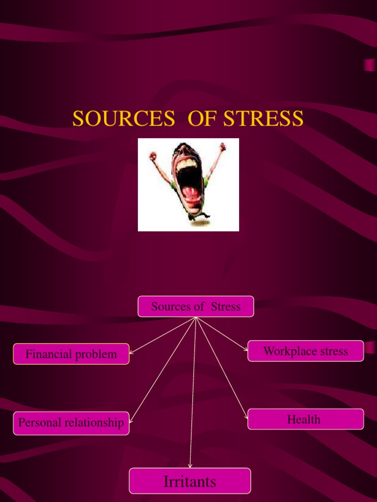 Causes of Stress | PDF