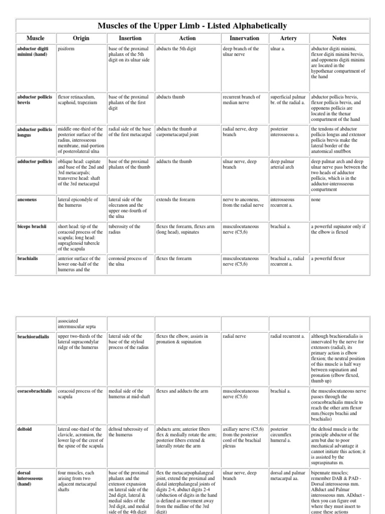 Muscles of The Upper Limb - Listed Alphabetically: Muscle Origin ...