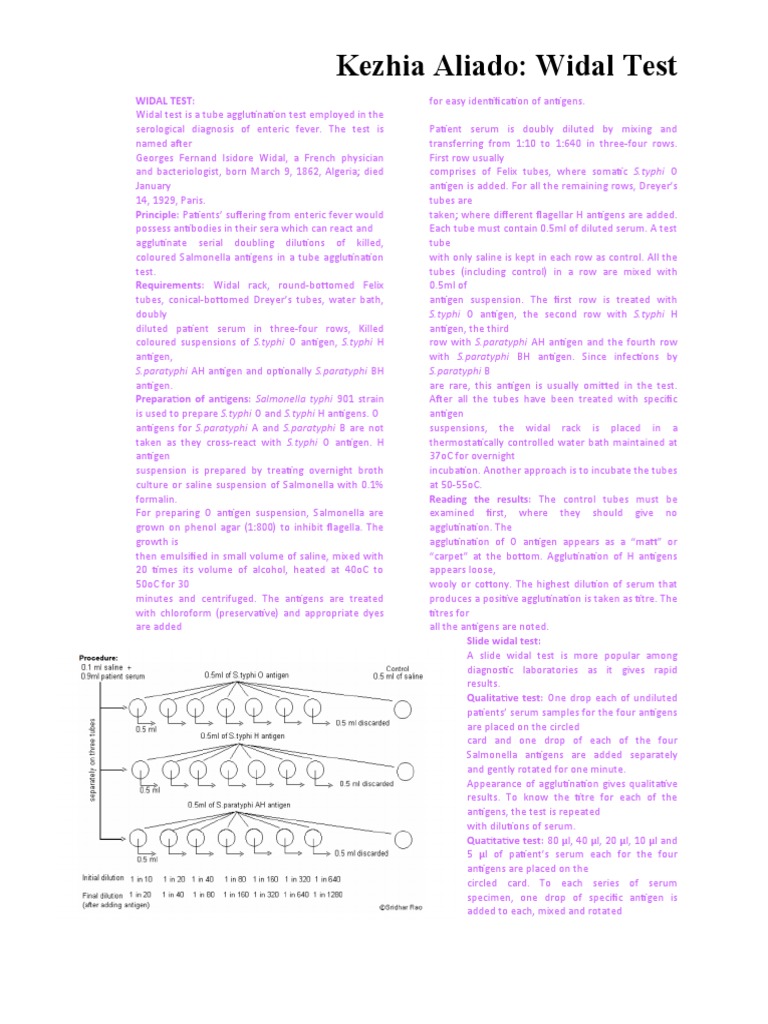 Widal Test | PDF | Infection | Antibody