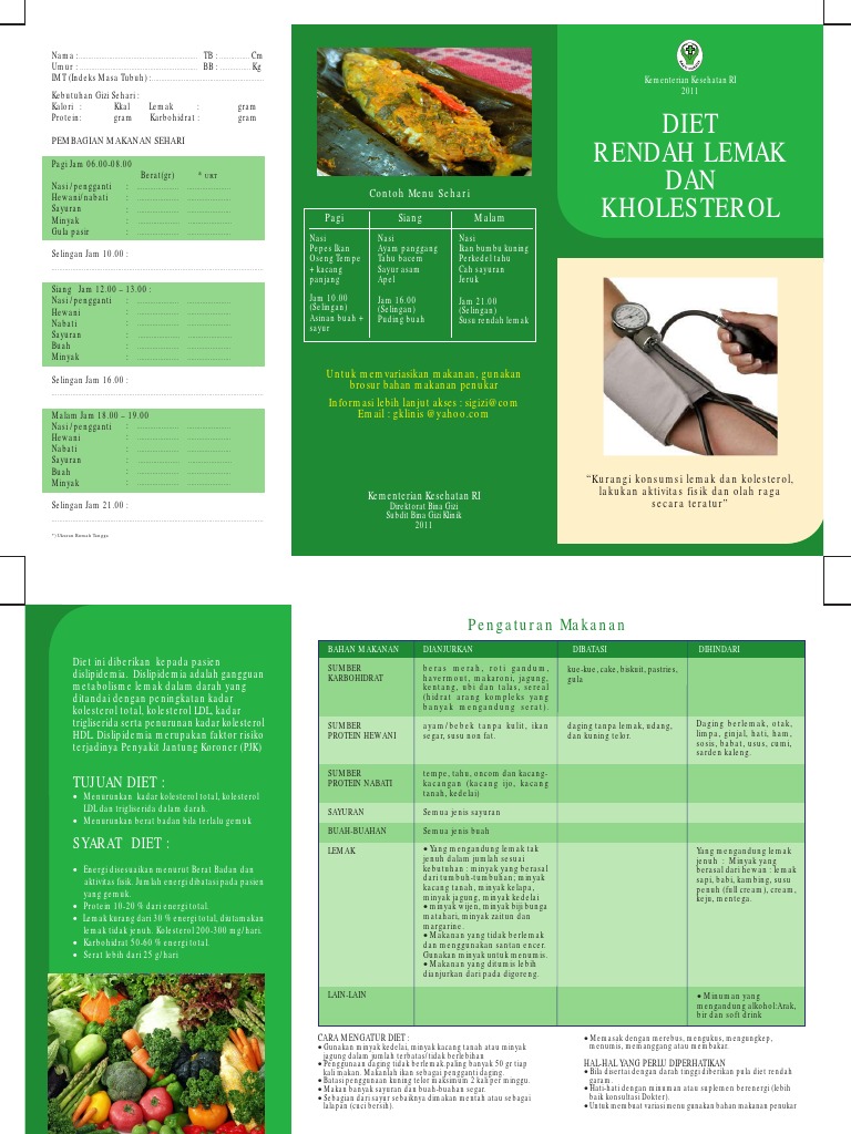 Leaflet Diet Rendah Lemak Dan Kolesterol | PDF