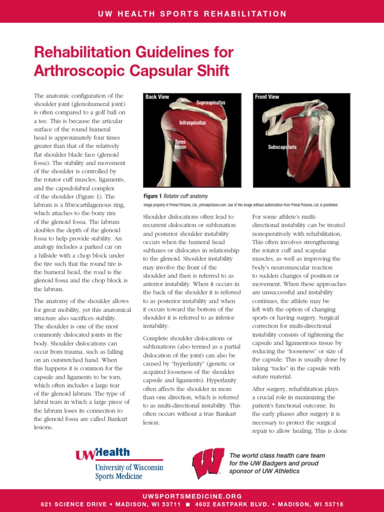 Rehabilitation Guidelines For Arthroscopic Capsular Shift: Back View ...