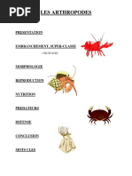 Classification et Intérêt Médical des Arthropodes | PDF | Insectes ...