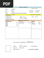OB Ultrasound Report Template 2 | PDF | Anatomy | Human Anatomy