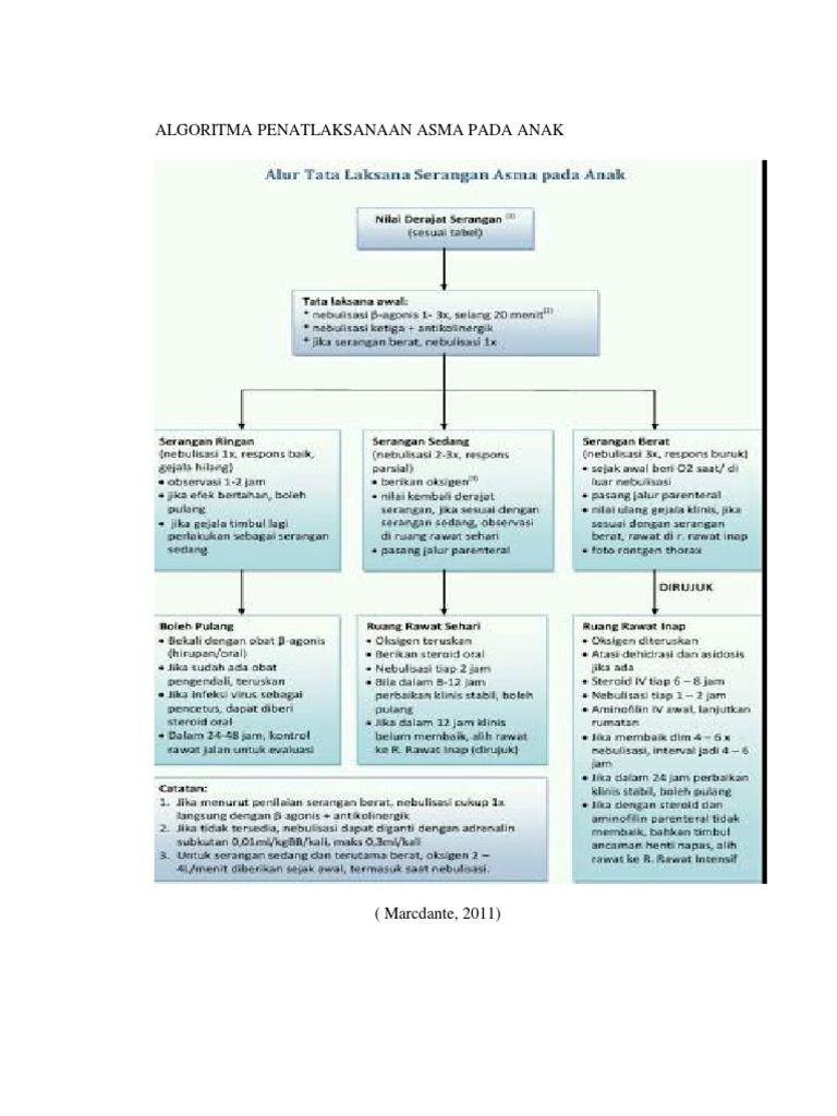 Algoritma Penatlaksanaan Asma Pada Anak | PDF