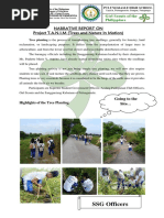 Accomplishment Report in Tree Planting | PDF