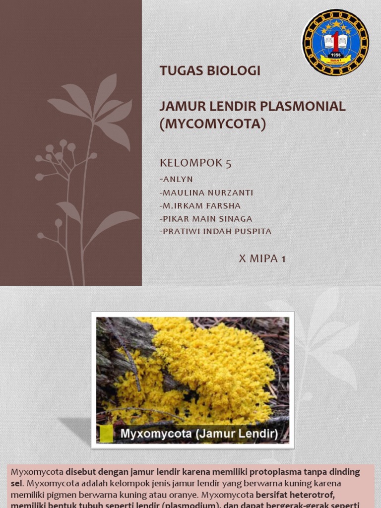 MYXOMYCOTA | PDF