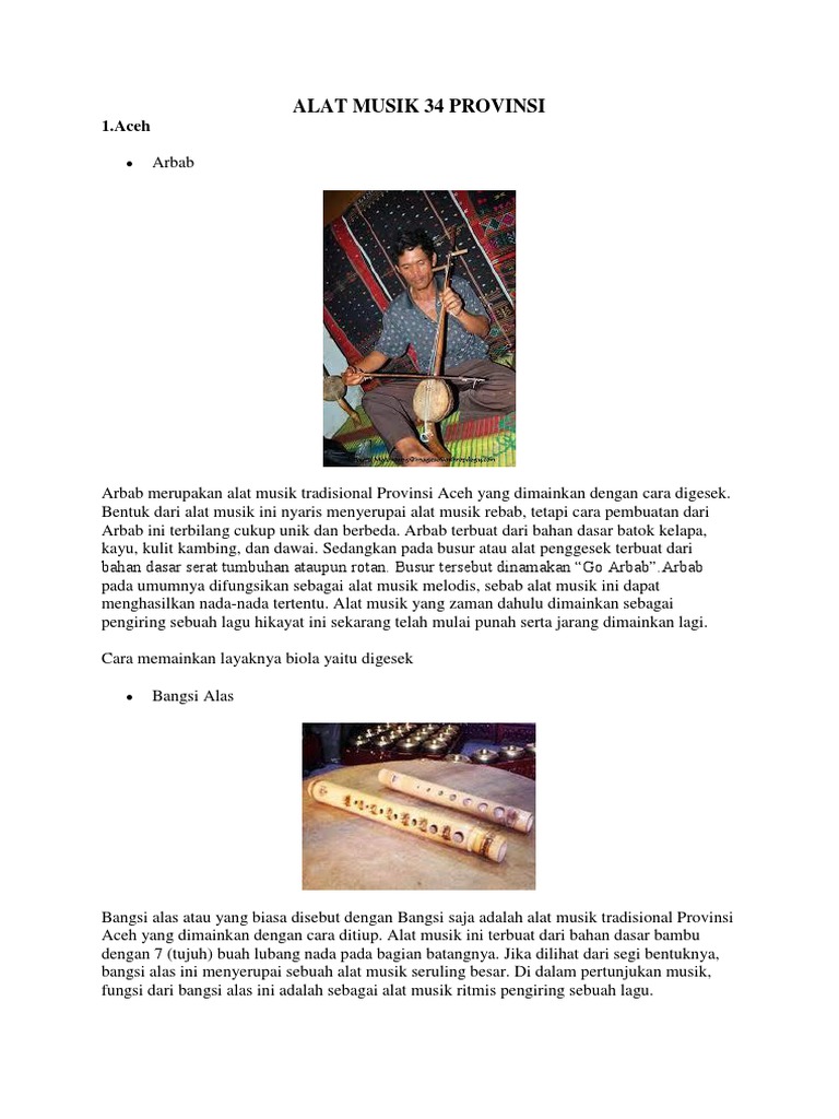 Alat Musik Tradisional 34 Provinsi | PDF