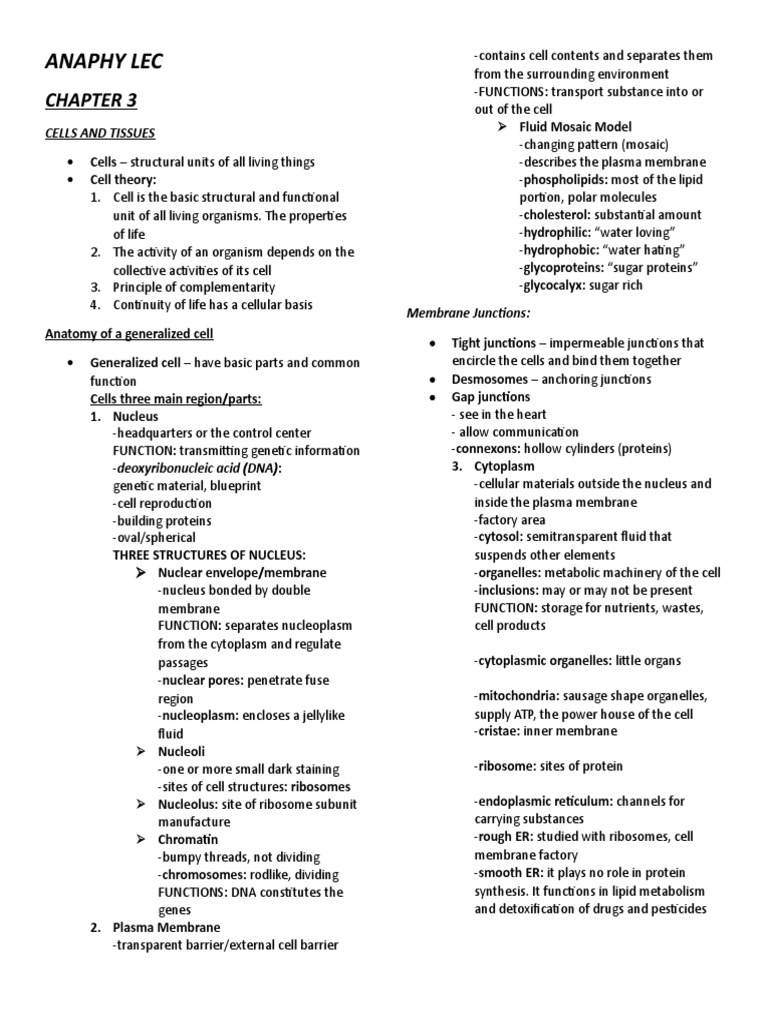 Anaphy Lec (Chapter 3) | PDF | Epithelium | Cell Membrane