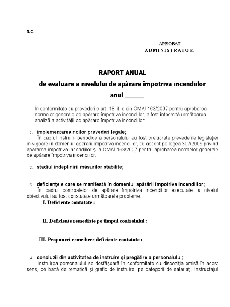 Raport Anual MODEL | PDF