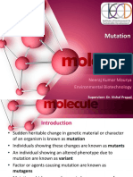 Project On Mutation Class 12 | PDF