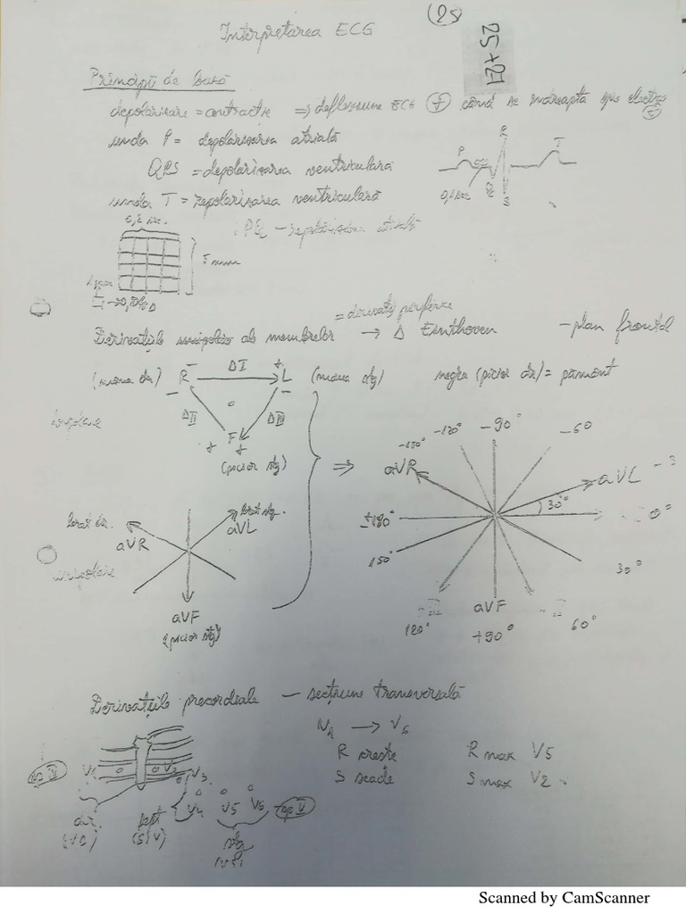 Interpretare ECG | PDF