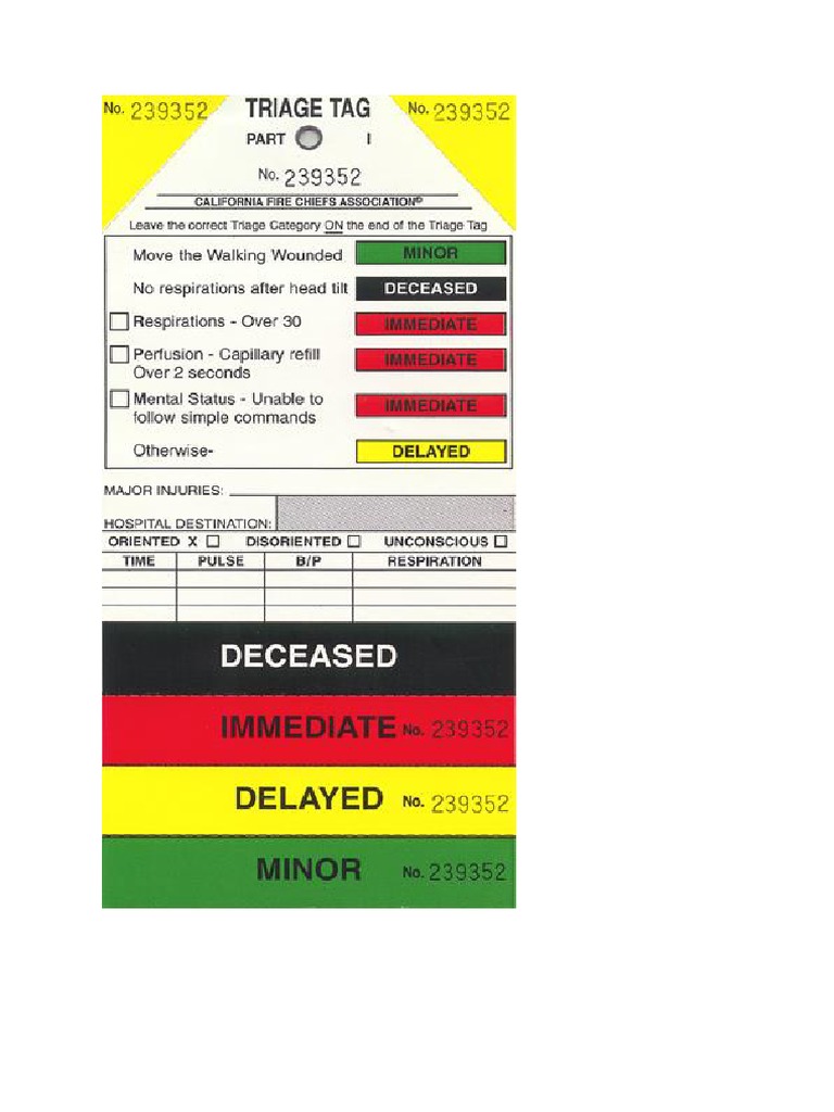 Triage Tag PDF | PDF