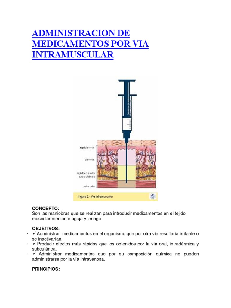 Administracion De Medicamentos Por Via Intramuscular: Concepto ...