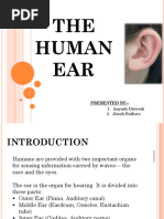 Grade 12 Life Science The Ear PDF | PDF | Ear | Hearing