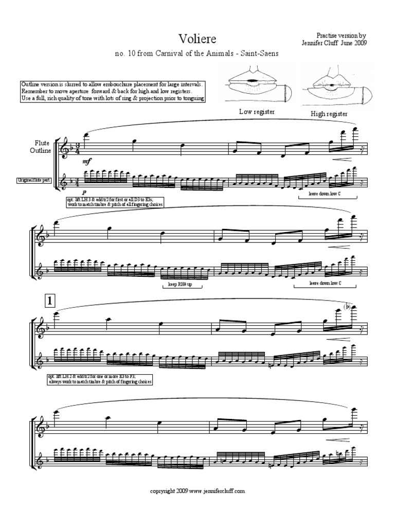 Voliere: No. 10 From Carnival of The Animals - Saint-Saens | PDF ...