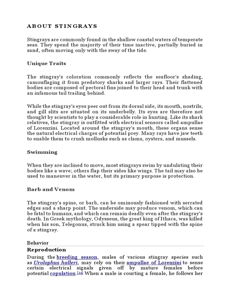 Unique Traits: About Stingrays | PDF | Zoology | Aquatic Animals