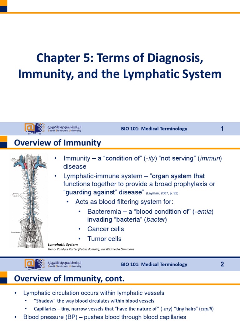 Chapter 5: Terms of Diagnosis, Immunity, and The Lymphatic System | PDF ...